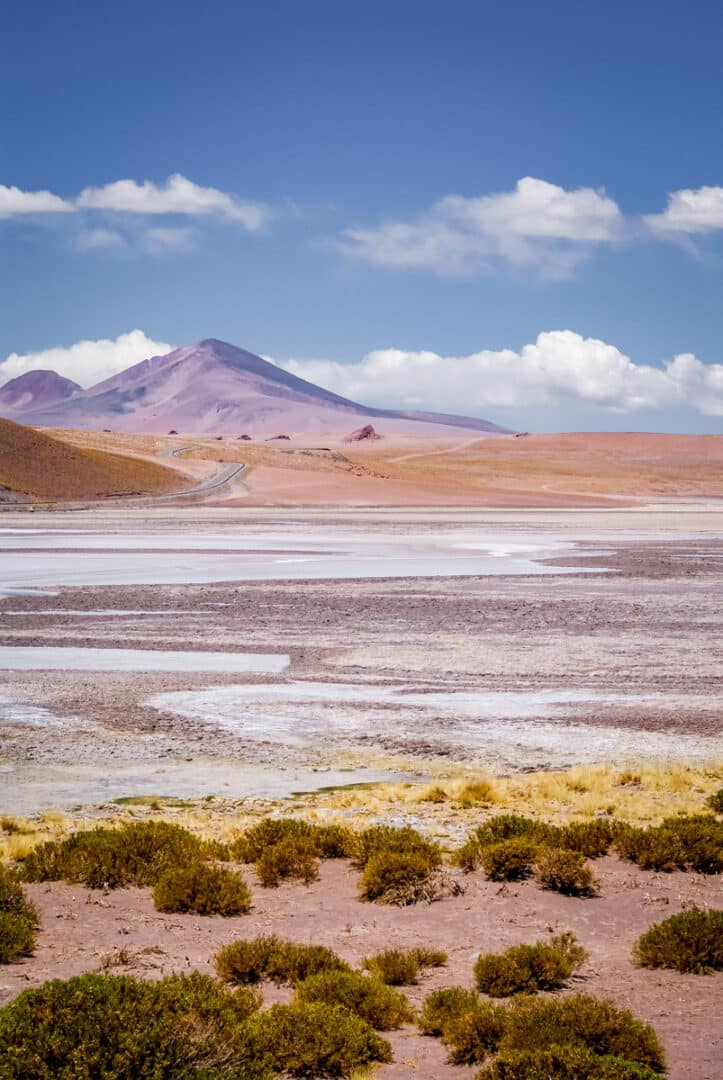 17 Interesting Facts About the Atacama Desert