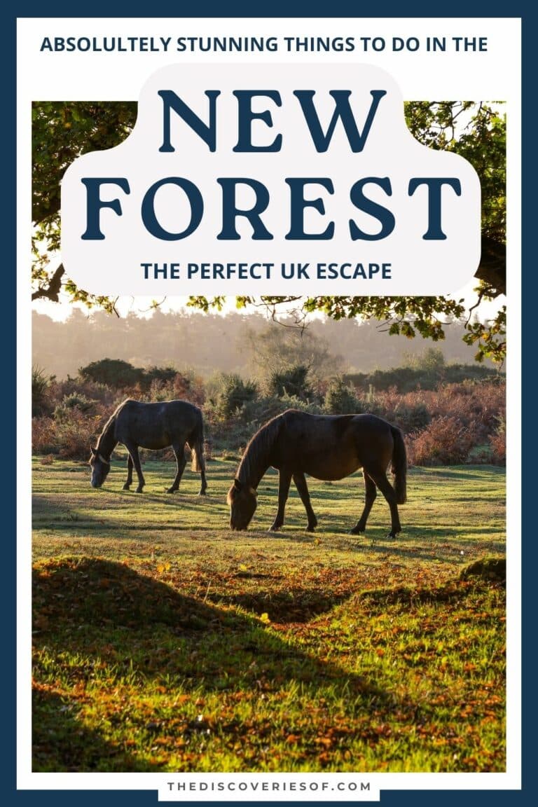 16 Brilliant Things To Do In The New Forest — The Discoveries Of